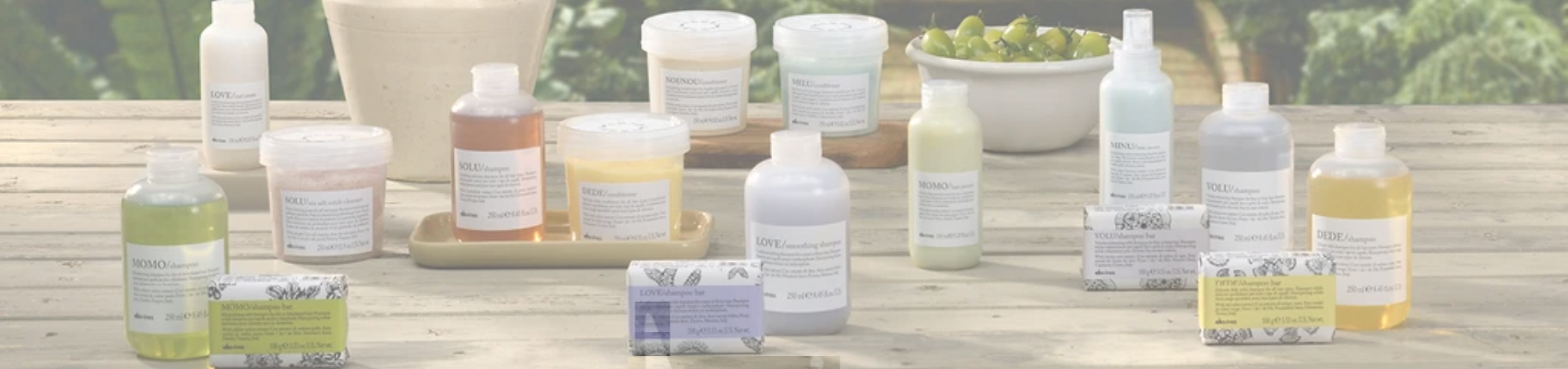 DAVINES – SPA VILNIUS